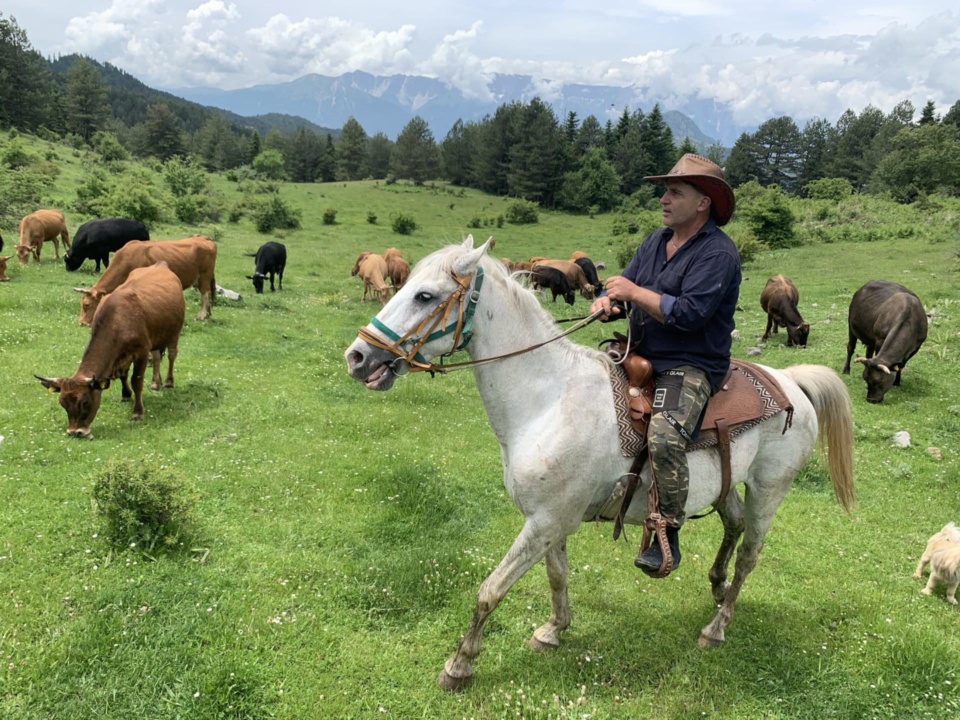 Farm Stay in Albania - Sotira Farm